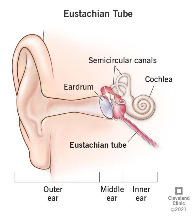 What Causes Echo in Ear? 5 Alarming Hearing Loss Symptoms to Watch For! | Sphere Speech ...